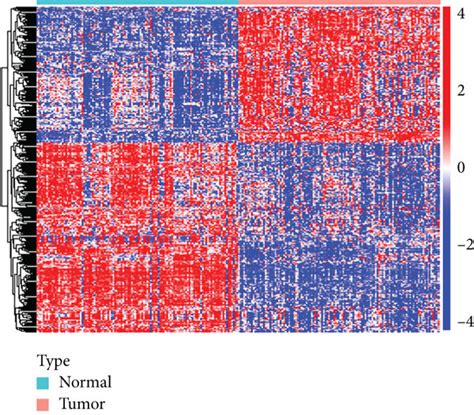Identification Of Deirgs And Functional Enrichment Analysis Heatmap