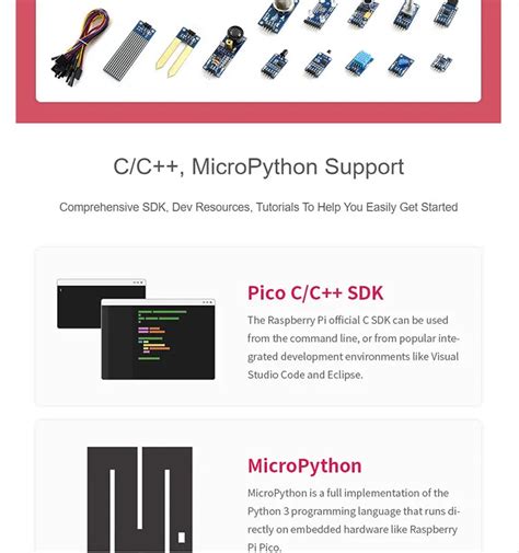 Raspberry Pi Pico High Performance Microcontroller Board