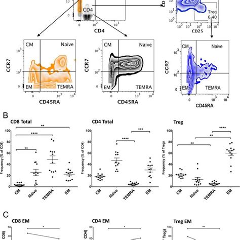 Frequencies Of Memory Naive Cd8 Cd4 And Treg Subsets In Download