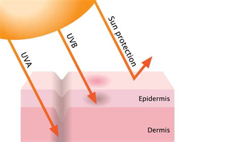 Sunscreen Before Or After Moisturizer Right Way To Apply Sunscreen