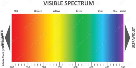 Visible Light Spectrum Electromagnetic Visible Color Spectrum For Human Eye Vector Gradient