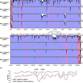 Global Pairwise Sequence Alignment And Recombination Events Among MCV Download Scientific