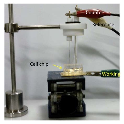 The Fabricated Chip With Thee Electrode Setup For Electrochemical Download High Quality