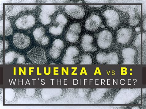 Influenza Type A And B Differences Symptoms Treatment And Prevention Boldsky Com