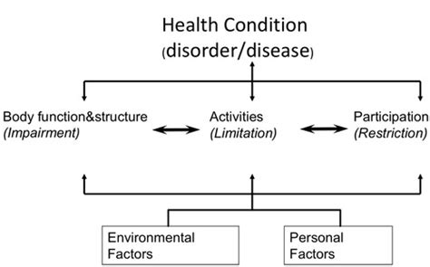 Ebp Iii Final Exam Flashcards Quizlet
