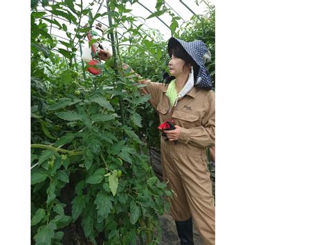 9月8日都市農村交流を目的とした農作業の体験活動をお手伝いしてきました岐阜県グリーンツーリズムサイト