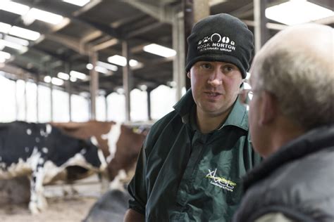 Animal Health And Welfare Pathway Hook Norton Veterinary Group