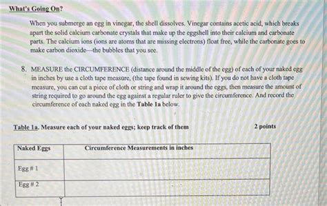 Solved Activity Osmosis Follow Instructions Provided Chegg