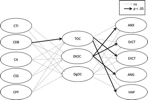 results of the structural model of the partial least square path