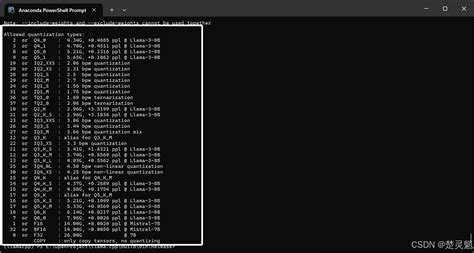 Ai 从零开始的llamacpp部署与deepseek格式转换、量化、运行教程llamacpp部署 Csdn博客