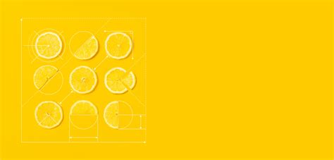 Start Precision Measuring Instruments Limit