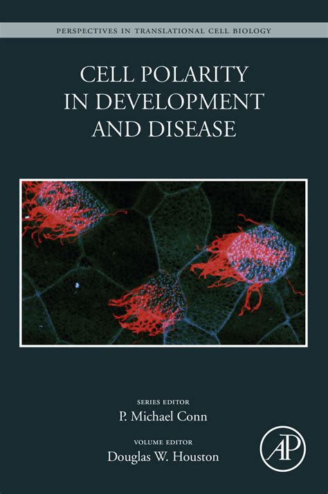 Cell Polarity In Development And Disease Premiumjs Store