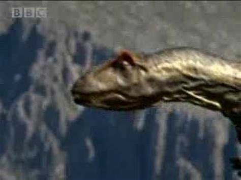 Dinosaur Mating Rituals Walking With Dinosaurs BBC Walking With