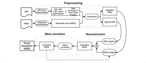 Schematic Representation Of Patch Based Super Resolution Pipeline