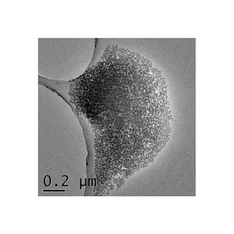 Sio2 Nanoparticles Ca 20 Nm 50 Wt Aqueous Suspension