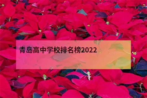 青岛高中学校排名榜2022 职教网