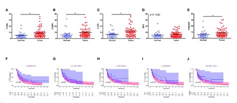 five genes validation using qrt pcr for escc cdna microarray chip
