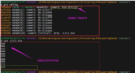 Git基础 git的历史版本查看与版本回退版本切换 博客猫 Git基础 git的历史版本查看与版本回退版本切换 博客猫
