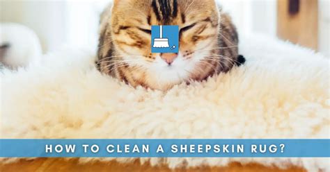 How To Clean A Sheepskin Rug Quick Guide