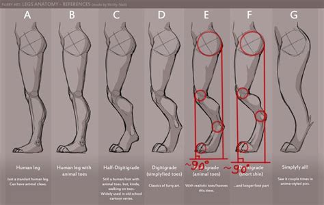 How To Draw Human Legs In Different Angles