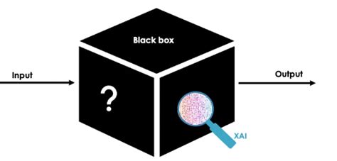 the black box dilemma