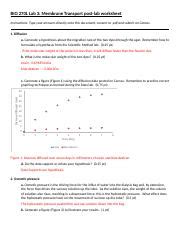 Lab Membrane Transport Post Lab Worksheet Docx BIO L Lab Membrane Transport Post Lab