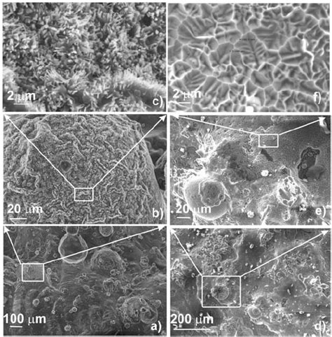 Surface Microstructure Of Nitinol Samples A B And C Slm P 1⁄4 50 Download Scientific