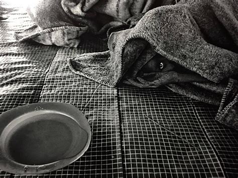 محمد الجهني On Twitter المصور الأمريكي جيمس ناتشوي، أكثر من ٢٥ عام