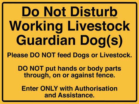 Do Not Disturb Working Livestock Guardian Dog Sign New Signs