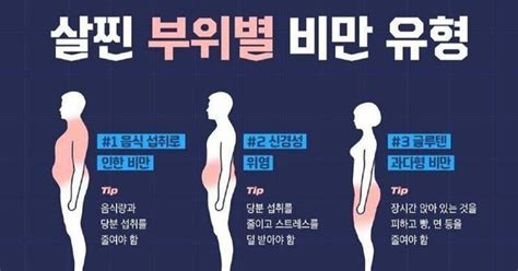 살찐 부위별 비만 유형  ‥