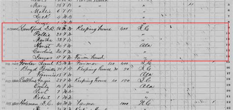 A Good Look At The 1870 Us Census Discover Your Origins