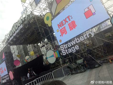 Music Festival 2018strawberry Wuhan草莓音乐节🍓 明年见