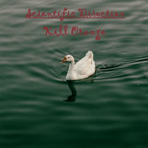 Scientific Direction Spotify