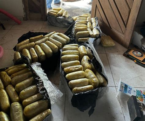 Dupla é Presa Com 242 Kg De Skunk Em Sítio Na Região Metropolitana De Natal