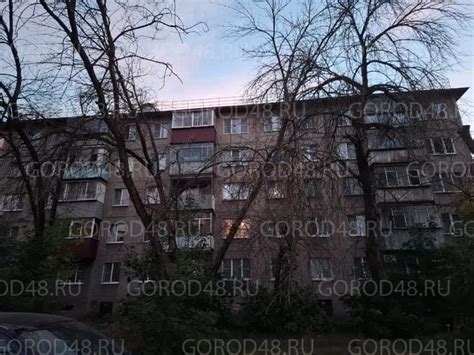 Над детской площадкой нависли сухие деревья