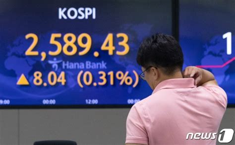 상승세 보이는 코스피 네이트 뉴스
