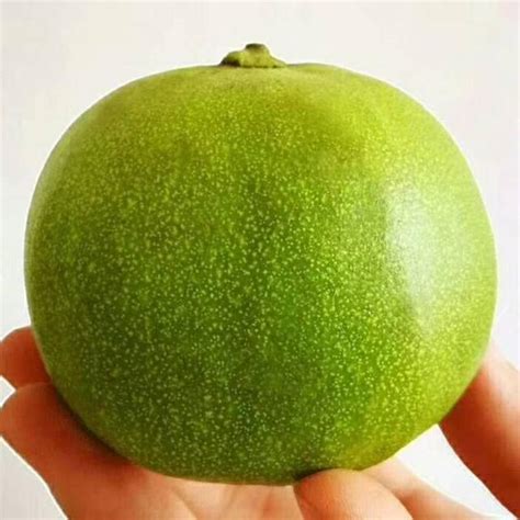俗話說俗話又說那該怎麼買文玩核桃啊 每日頭條