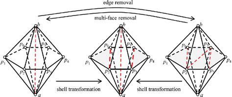 illustration for the proposed shell transformation operation the shell