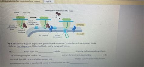 Solved Because Your Cached Credentials Have Expired Sign In Chegg Com