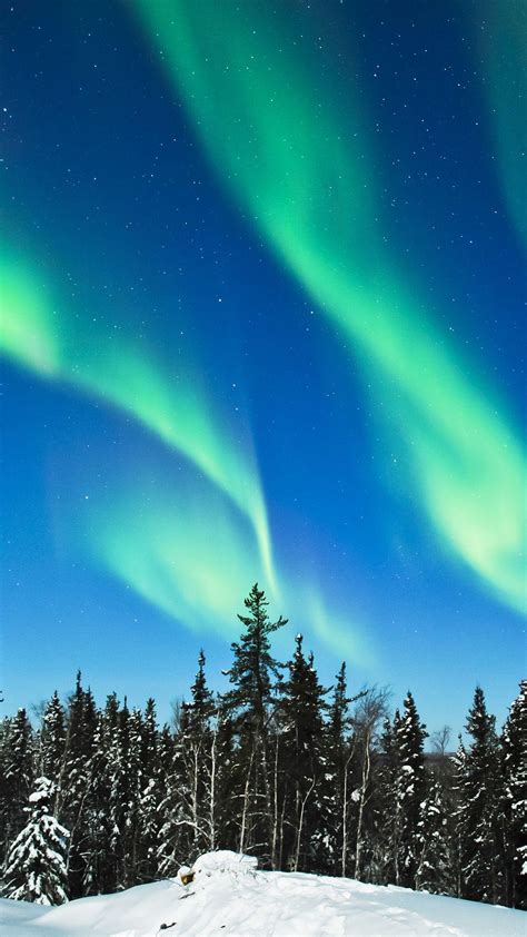 Oppo F Wallpapers Wallpaper Cave