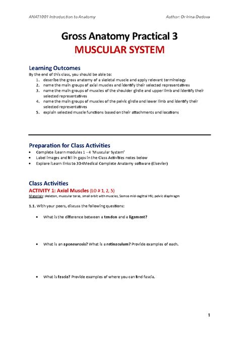 Gross ANAT Practical 03 Muscular SYS Final Gross Anatomy Practical 3