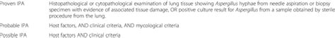 IPA Classification According To Revised 2008 EORTC MSG Criteria