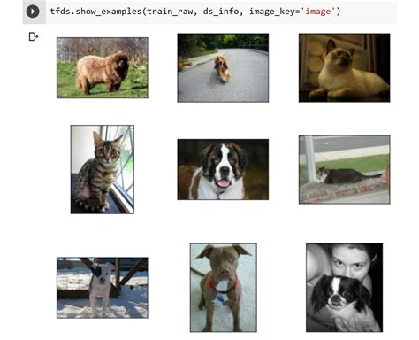 Practical Guide To Transfer Learning In Tensorflow For Multiclass Image Classification Towards