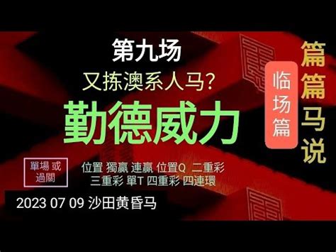香港赛馬 篇篇马说 20230709 预选篇第九场 又拣澳系人马 YouTube