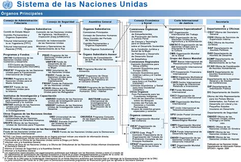 Que Es La Organizacion De Las Naciones Unidas Pdf Marcus Reid