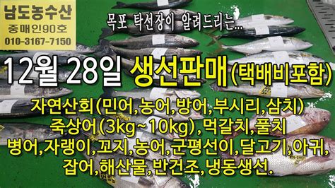 12월 28일 판매 생선 자연산회 민어 농어 삼치 죽상어 먹갈치 풀치 병어 자랭이병어 덕대 참돔 군평선이