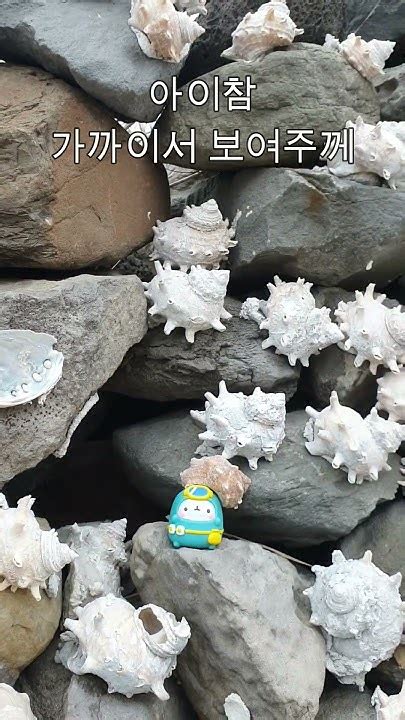 제주 뿔소라와 숨바꼭질하는 해녀 몰랑이 Youtube