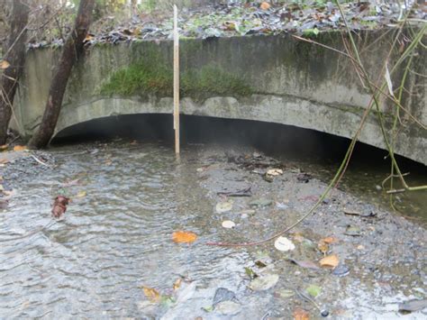 Culvert Clean Out Illahee