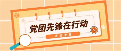 党团先锋在行动 在基层实践中奉献青春力量服务志愿万松街道