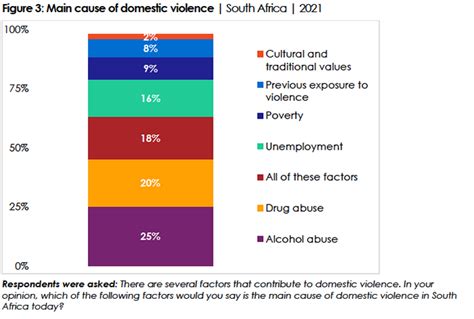 News Release South Africans Say Gender Based Violence Worsening Blame